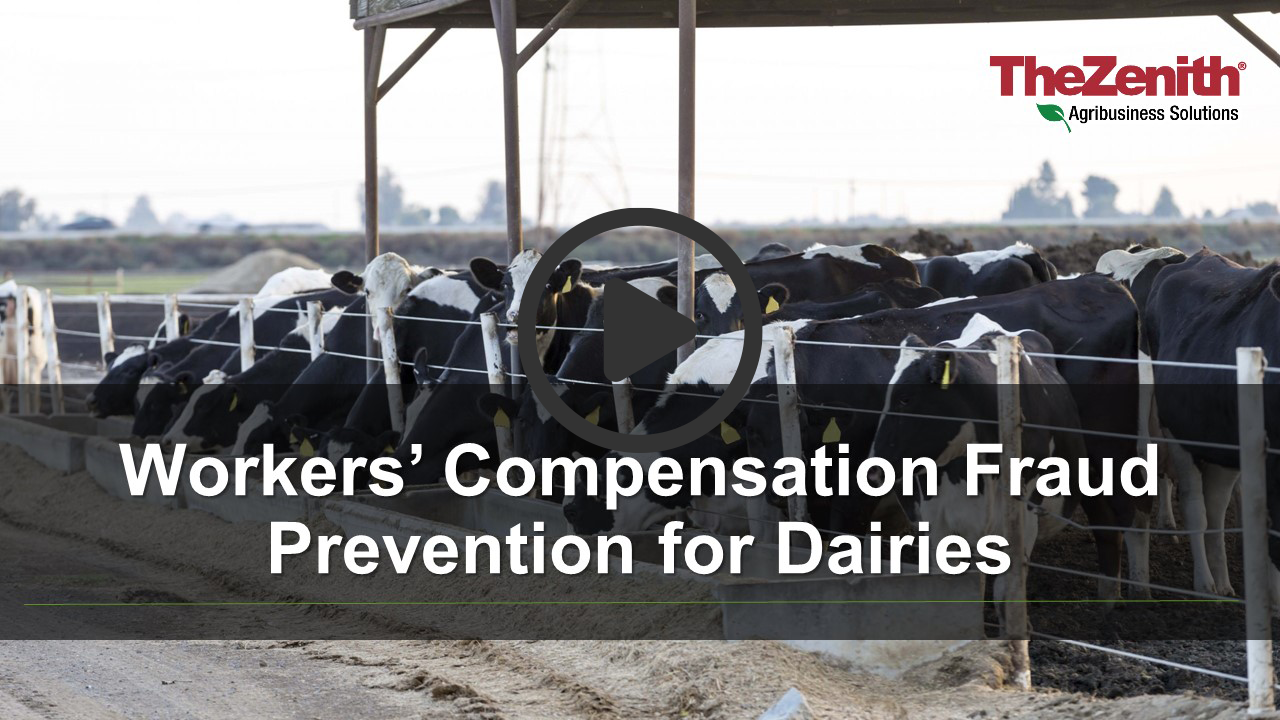 Zenith University – TheZenith